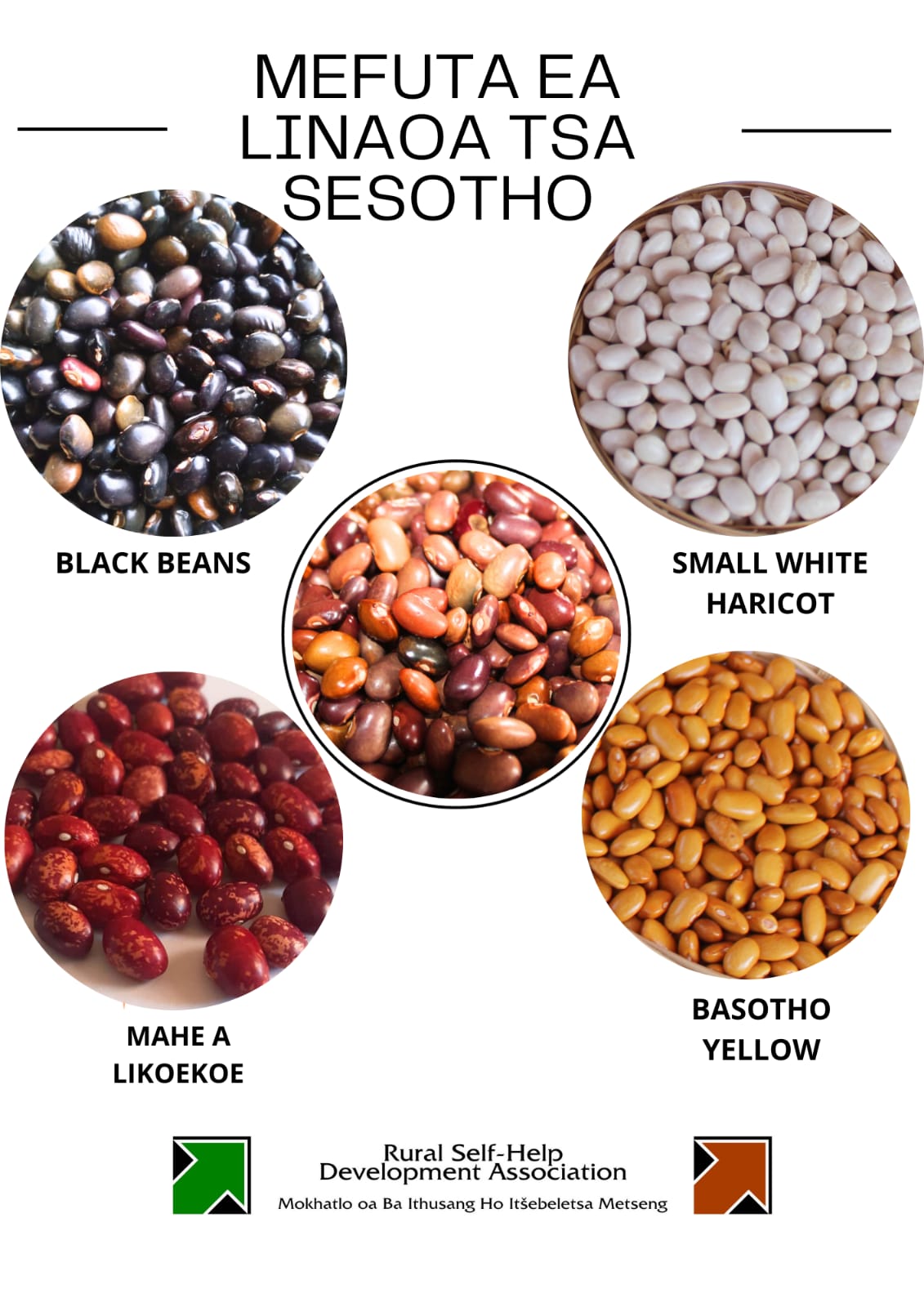 Beans Produced in Lesotho